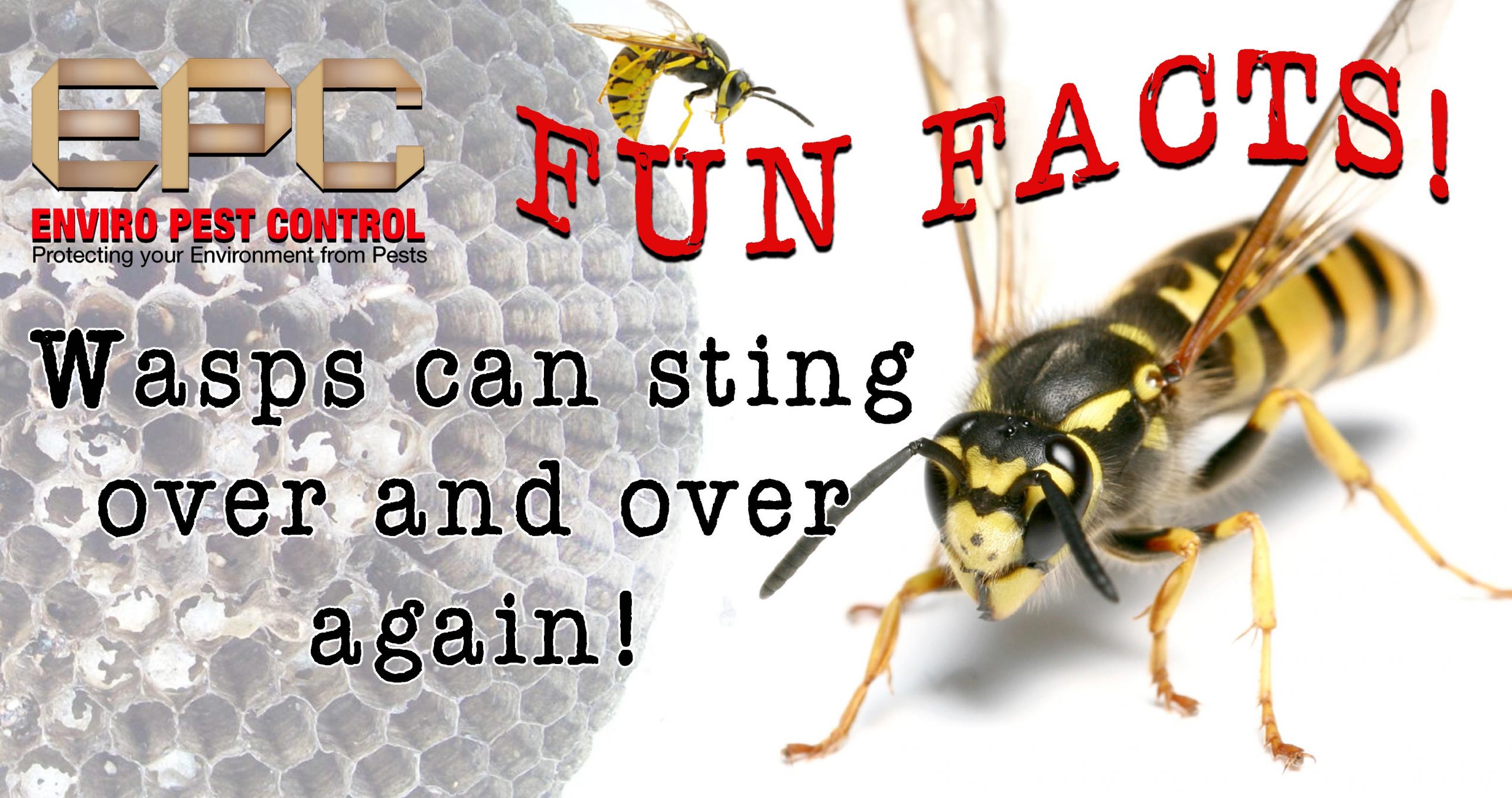 EPC – Enviro Pest Control – Melbourne's Pest Control Experts