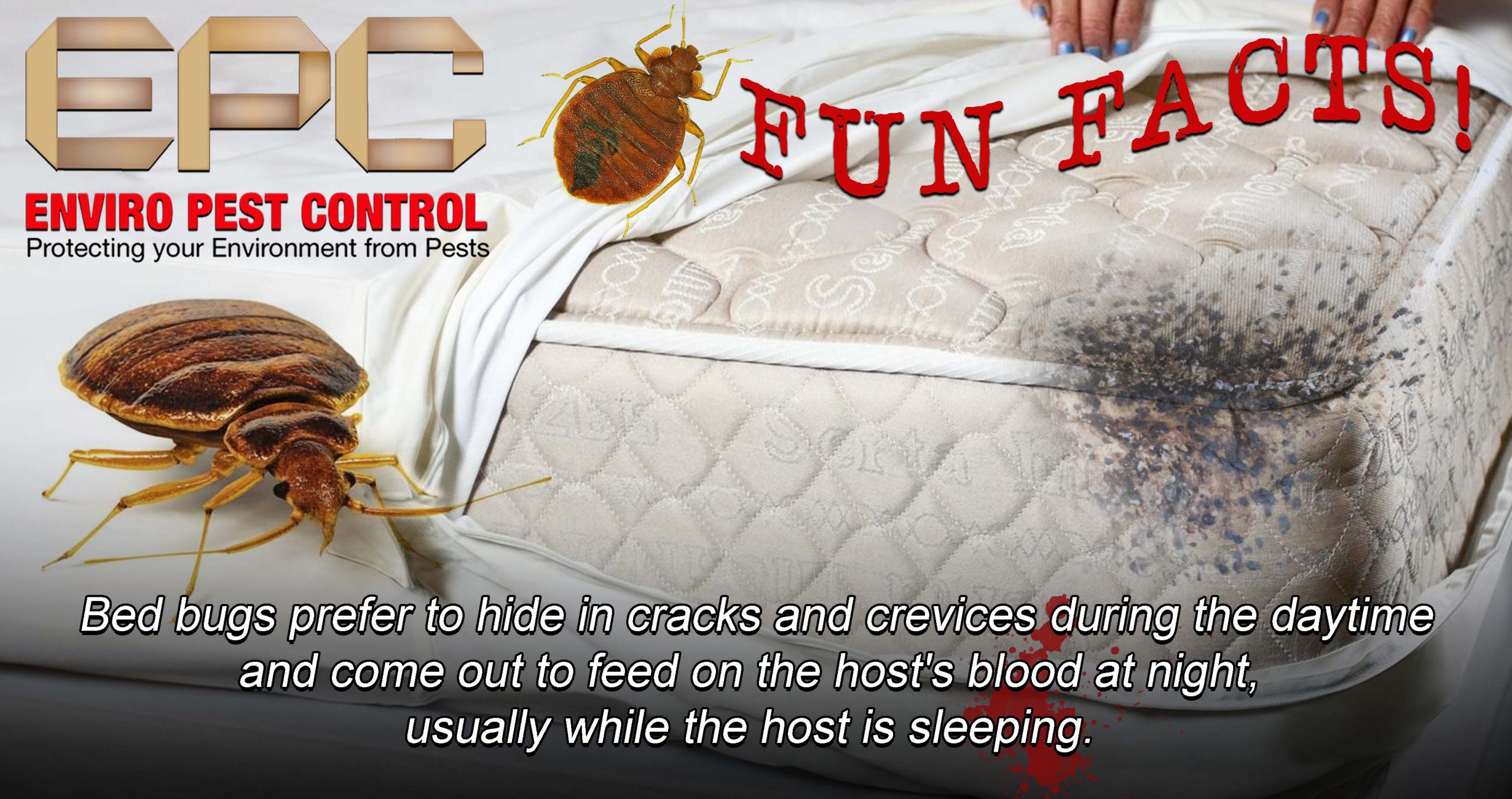 EPC – Enviro Pest Control – Melbourne's Pest Control Experts