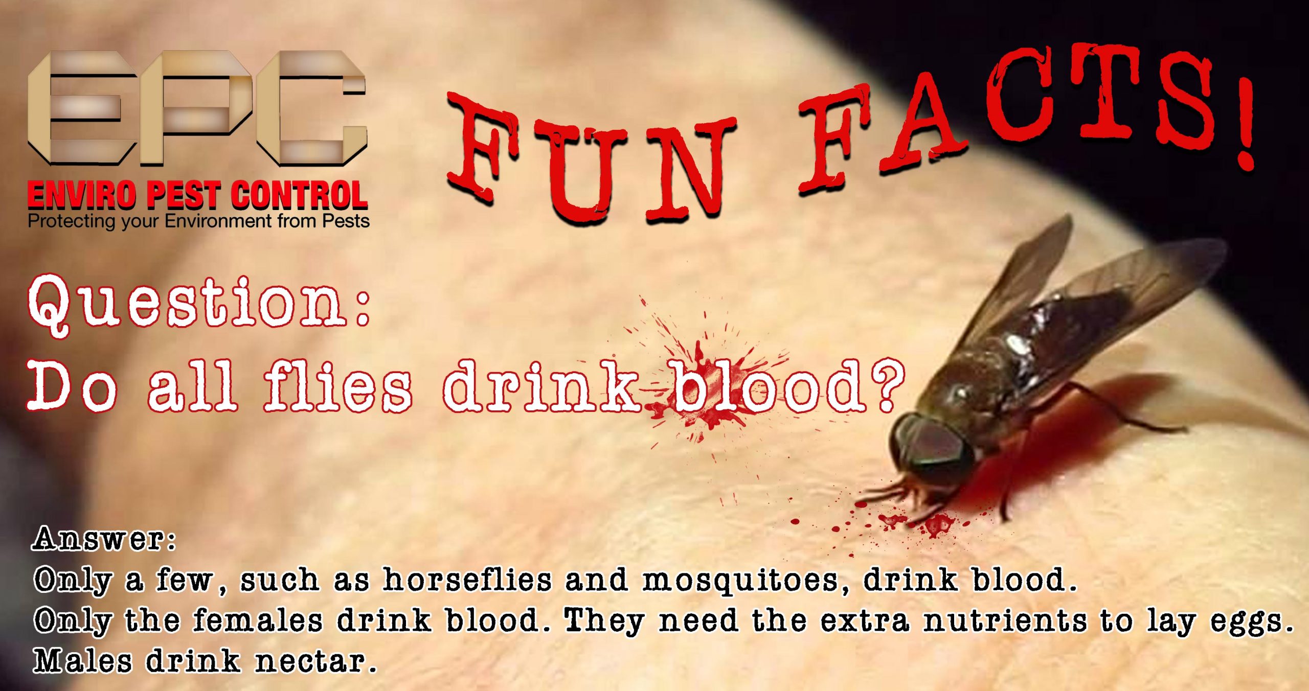 EPC – Enviro Pest Control – Melbourne's Pest Control Experts